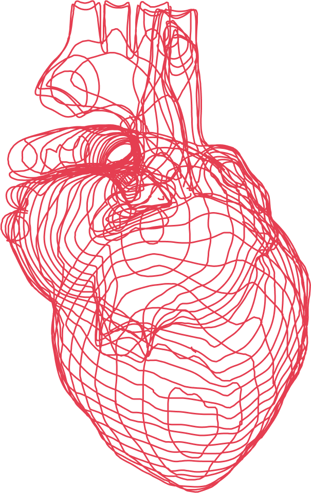 Understanding Single Ventricle Heart Disease — Mezzion