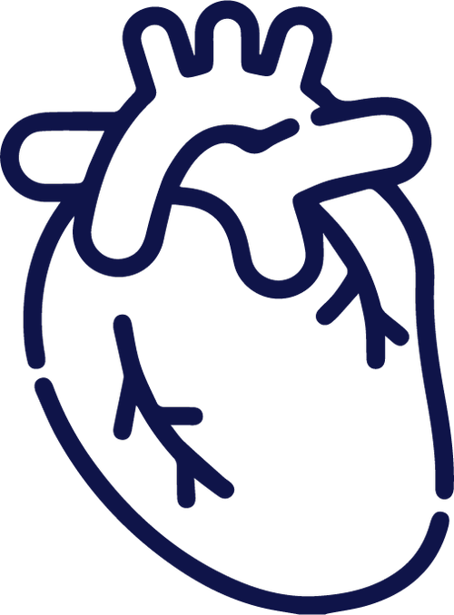 Understanding Single Ventricle Heart Disease — Mezzion