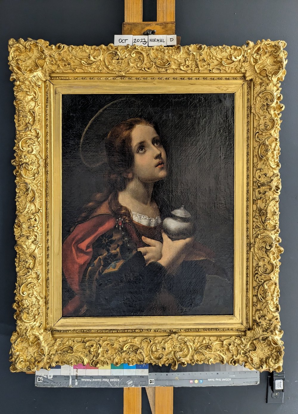 CONSERVATION AND MUSEUM SERVICES
