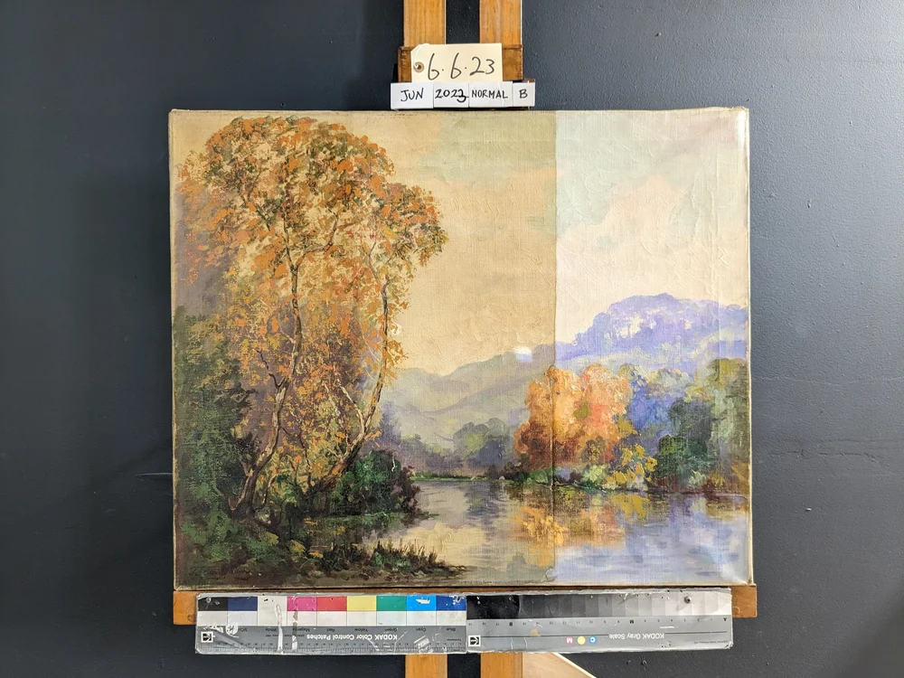 CONSERVATION AND MUSEUM SERVICES