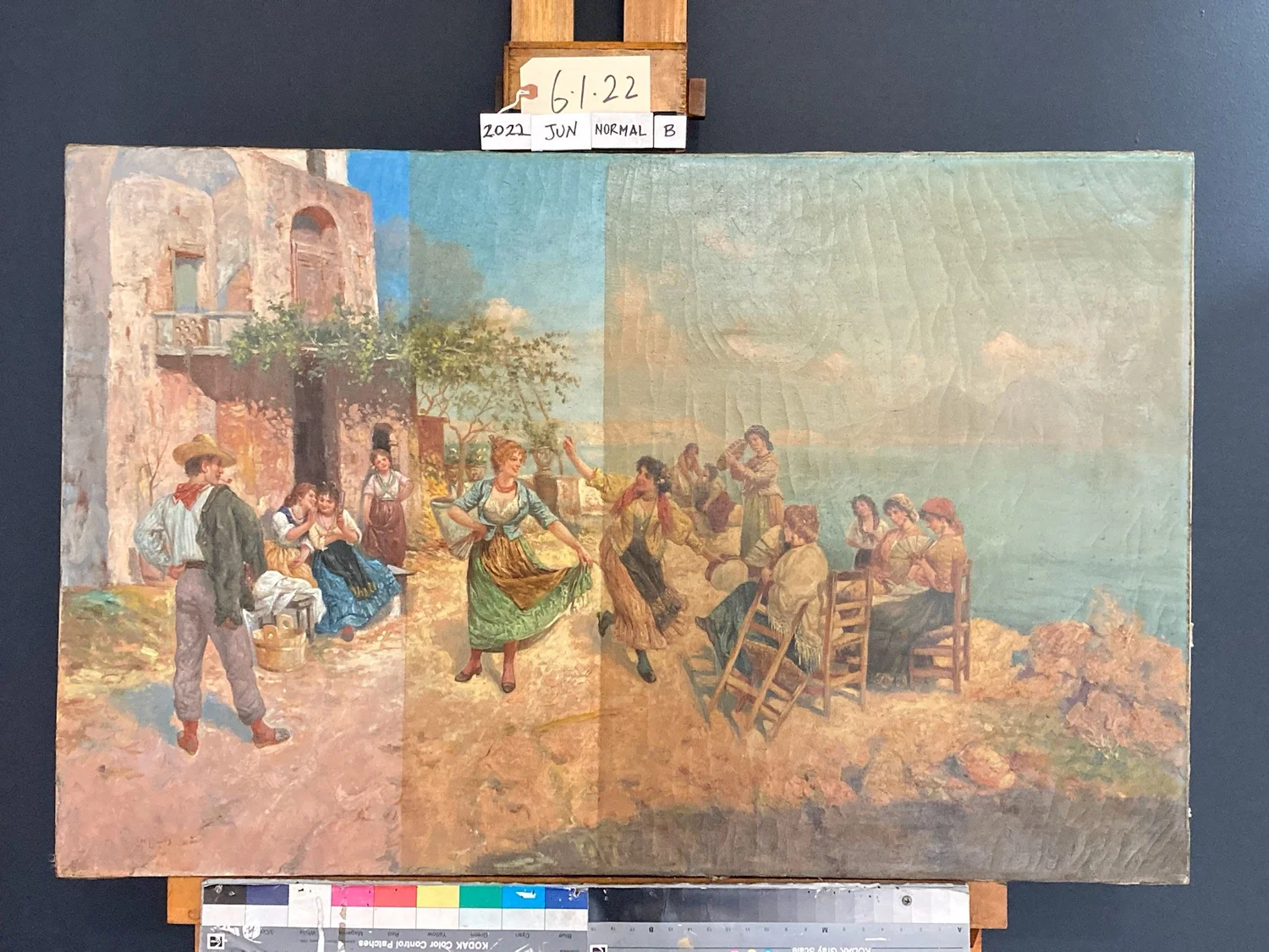 CONSERVATION AND MUSEUM SERVICES