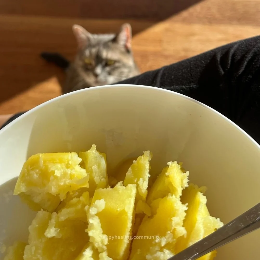 My Potato Mono-Eating Cleanse experience (Medical Medium) — Happy Healing