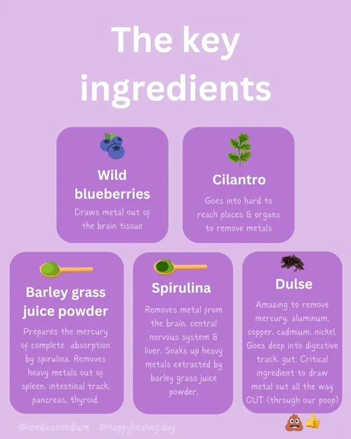 How to Do a Heavy Metal Detox Naturally and Safely? (My experience ...