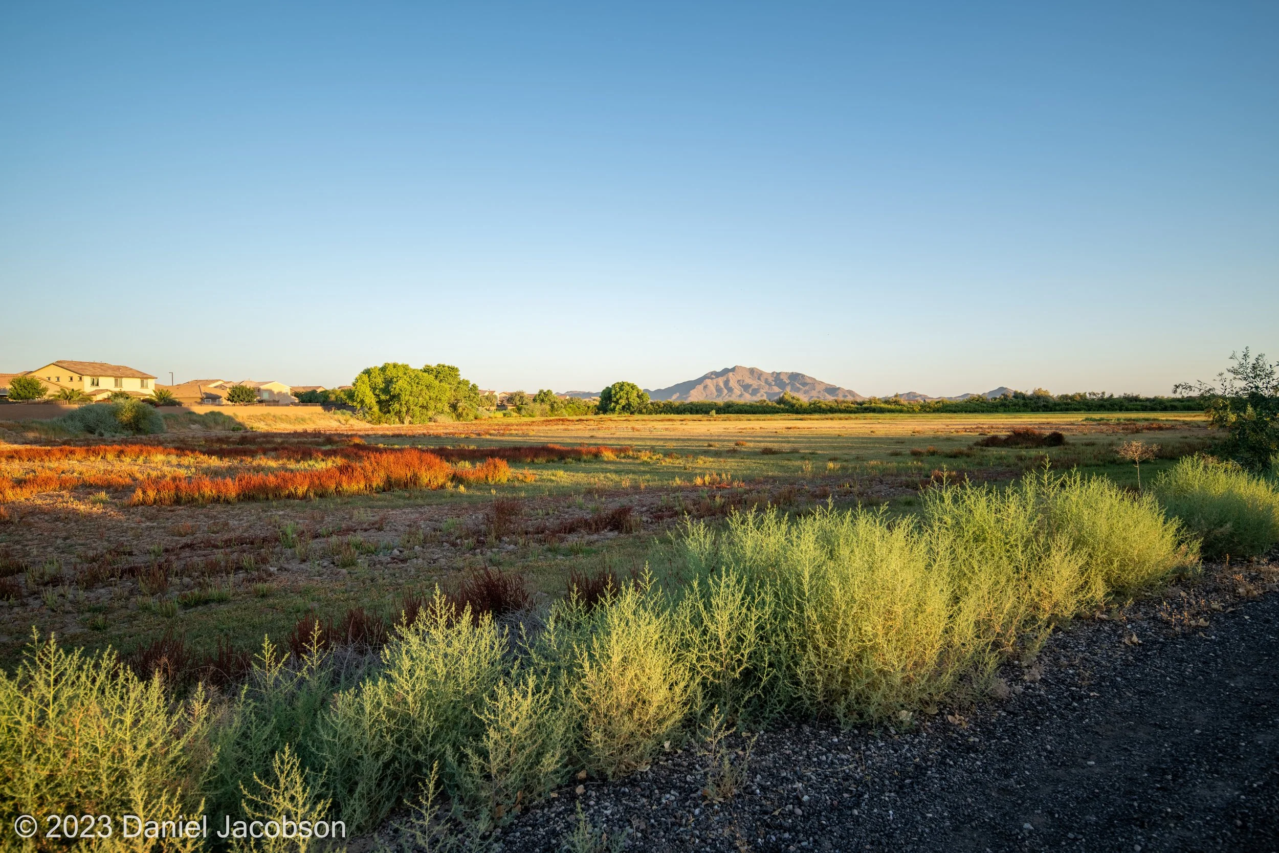 Daniel Jacobson Photography