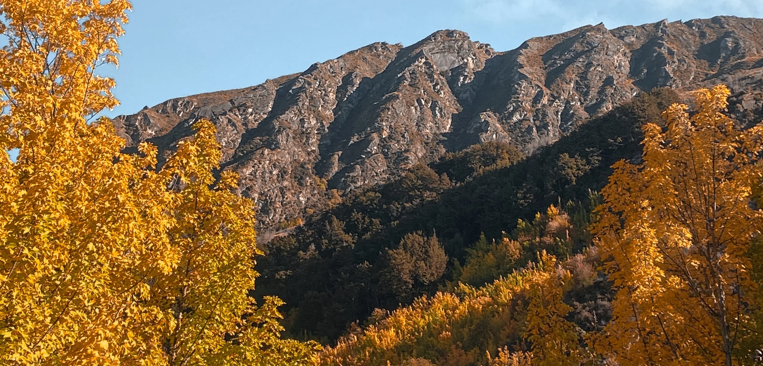 Toast & Oak | Queenstown