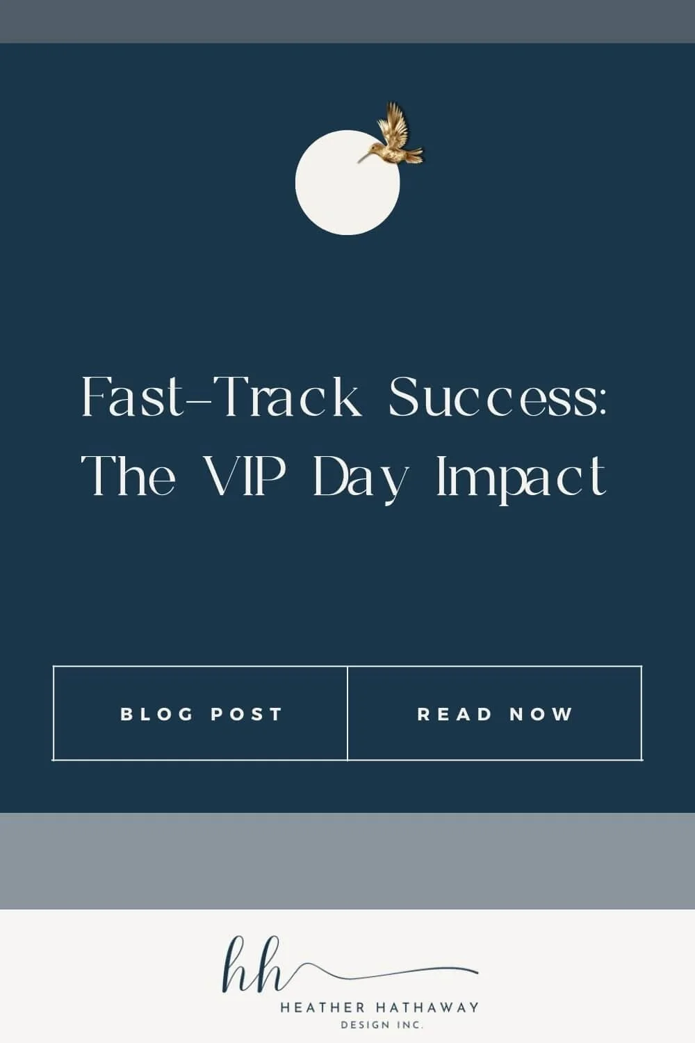 Why Chose Website VIP Day? — Web Design and Branding Services in Orange ...