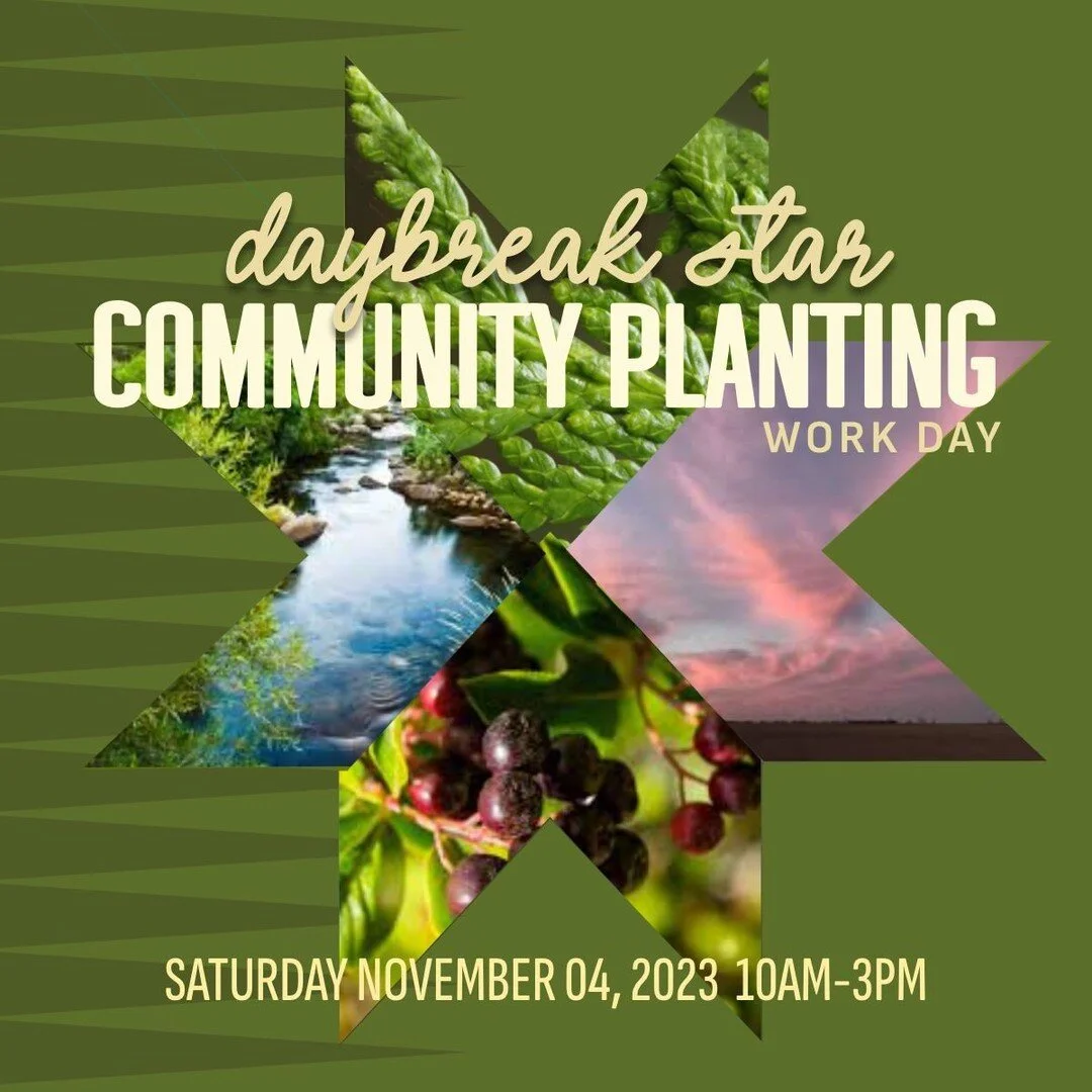 Chief Seattle Club — Seattle Urban Native Nonprofits