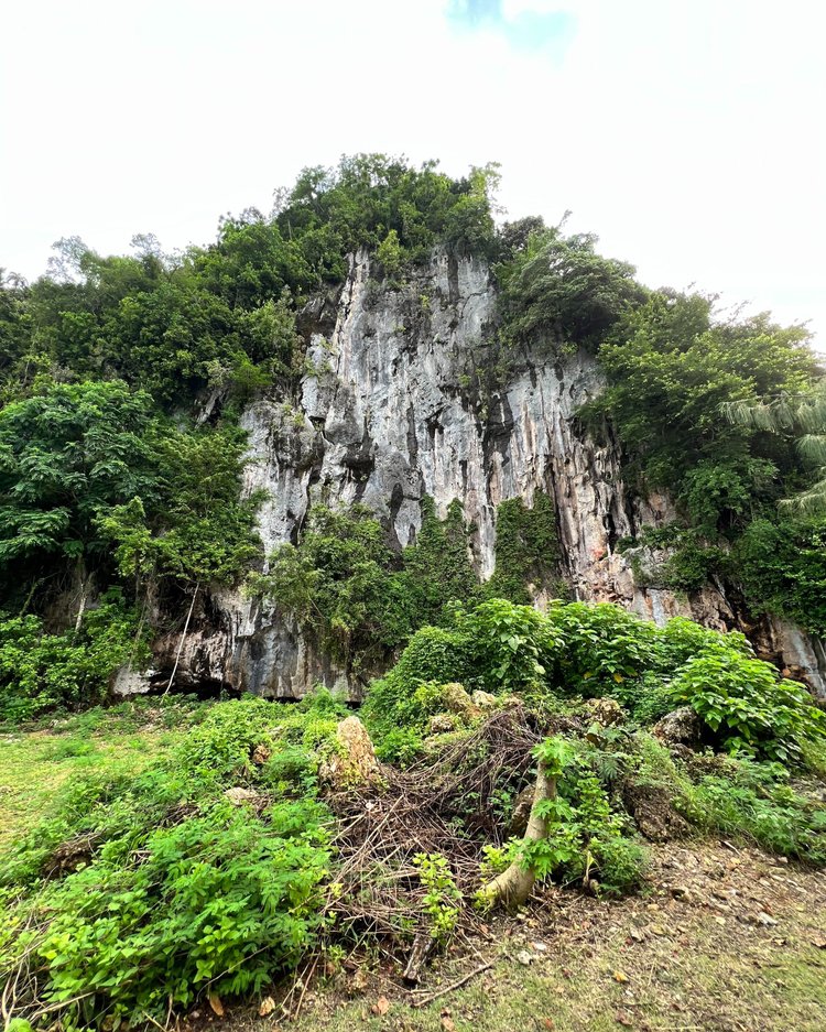 Micronesia Challenge