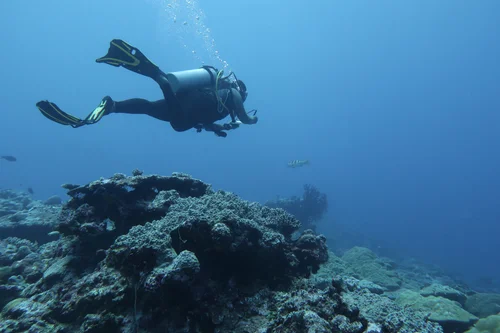 Micronesia Challenge