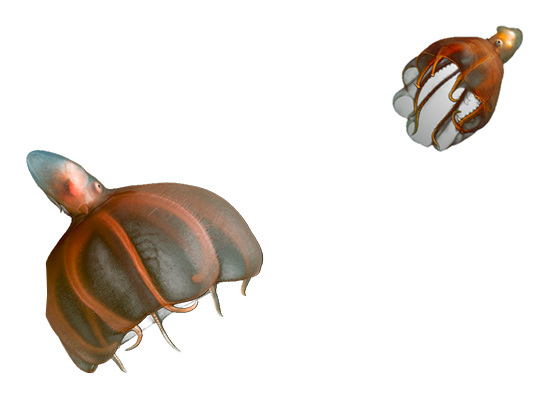 Deep Rising Film | Official Site