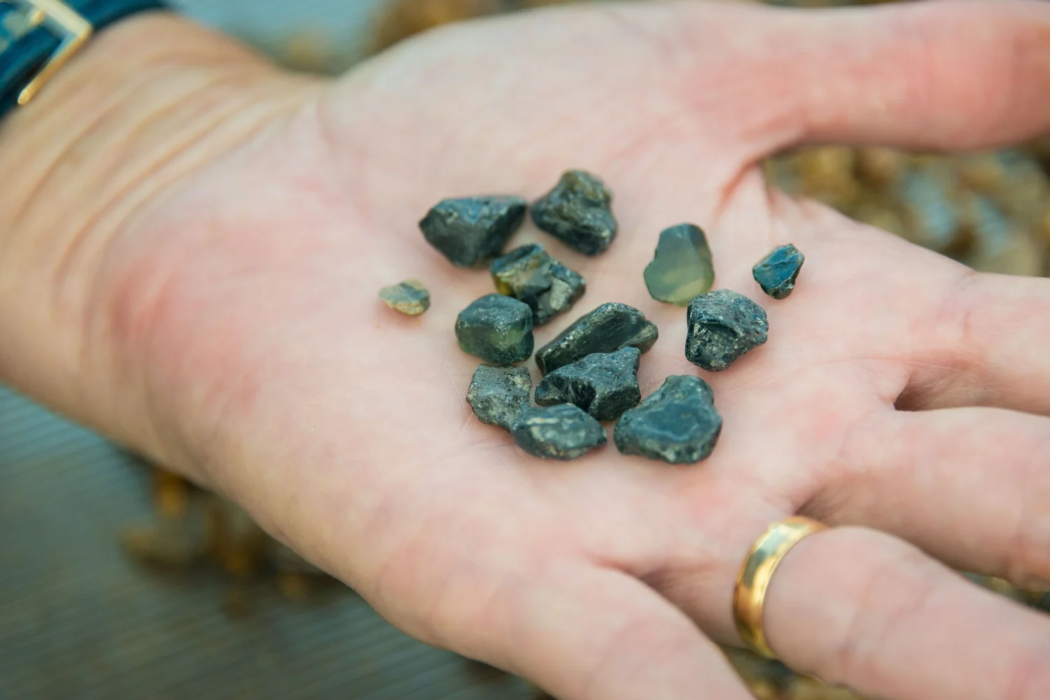 Sapphire Gemfields — Dig the Tropic