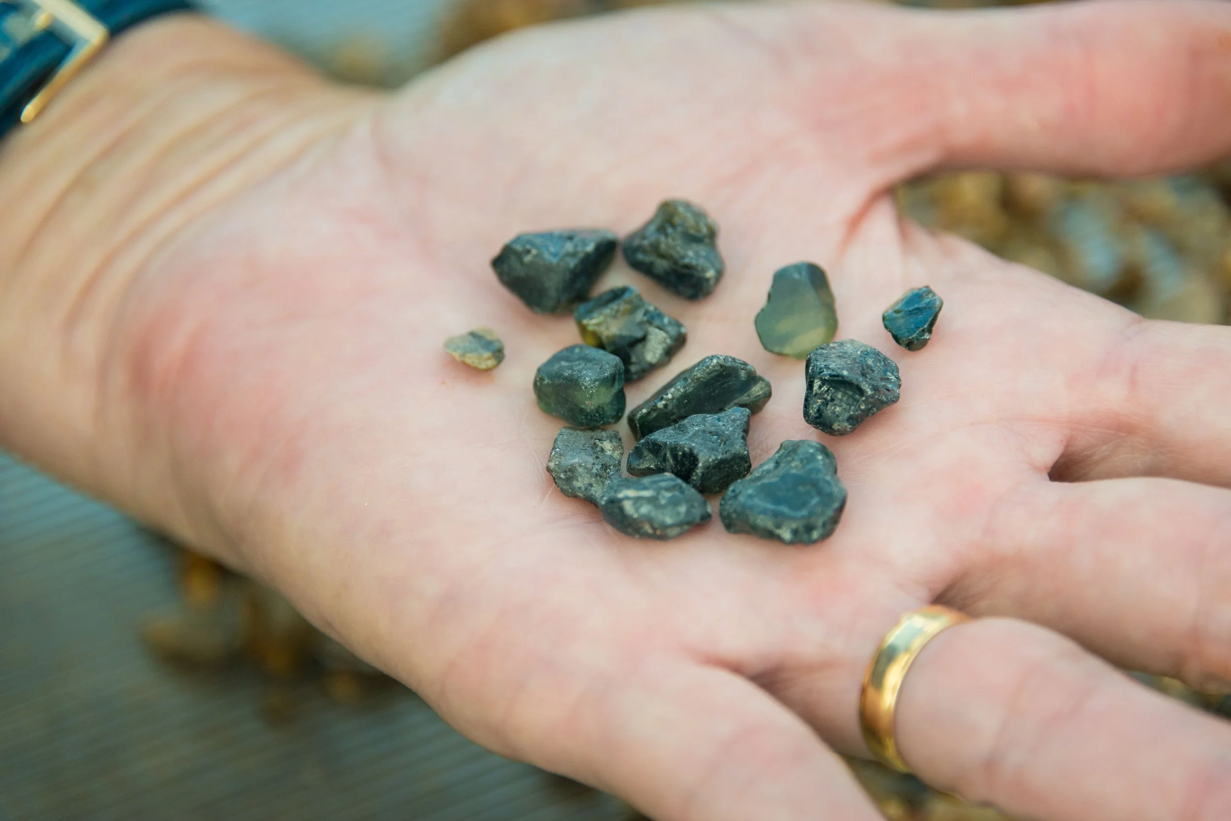 Sapphire Gemfields — Dig the Tropic