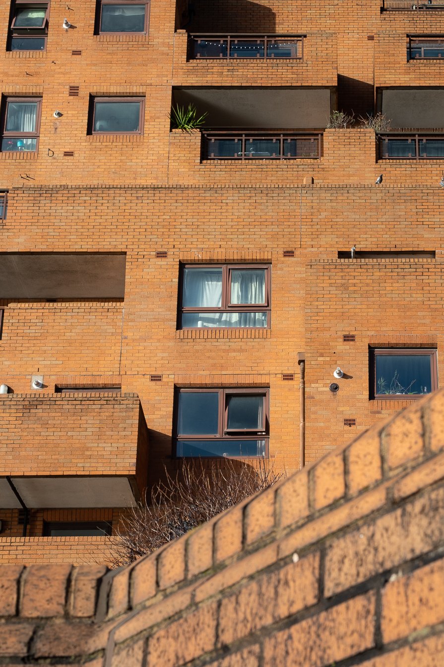 Hall Studio - Photography