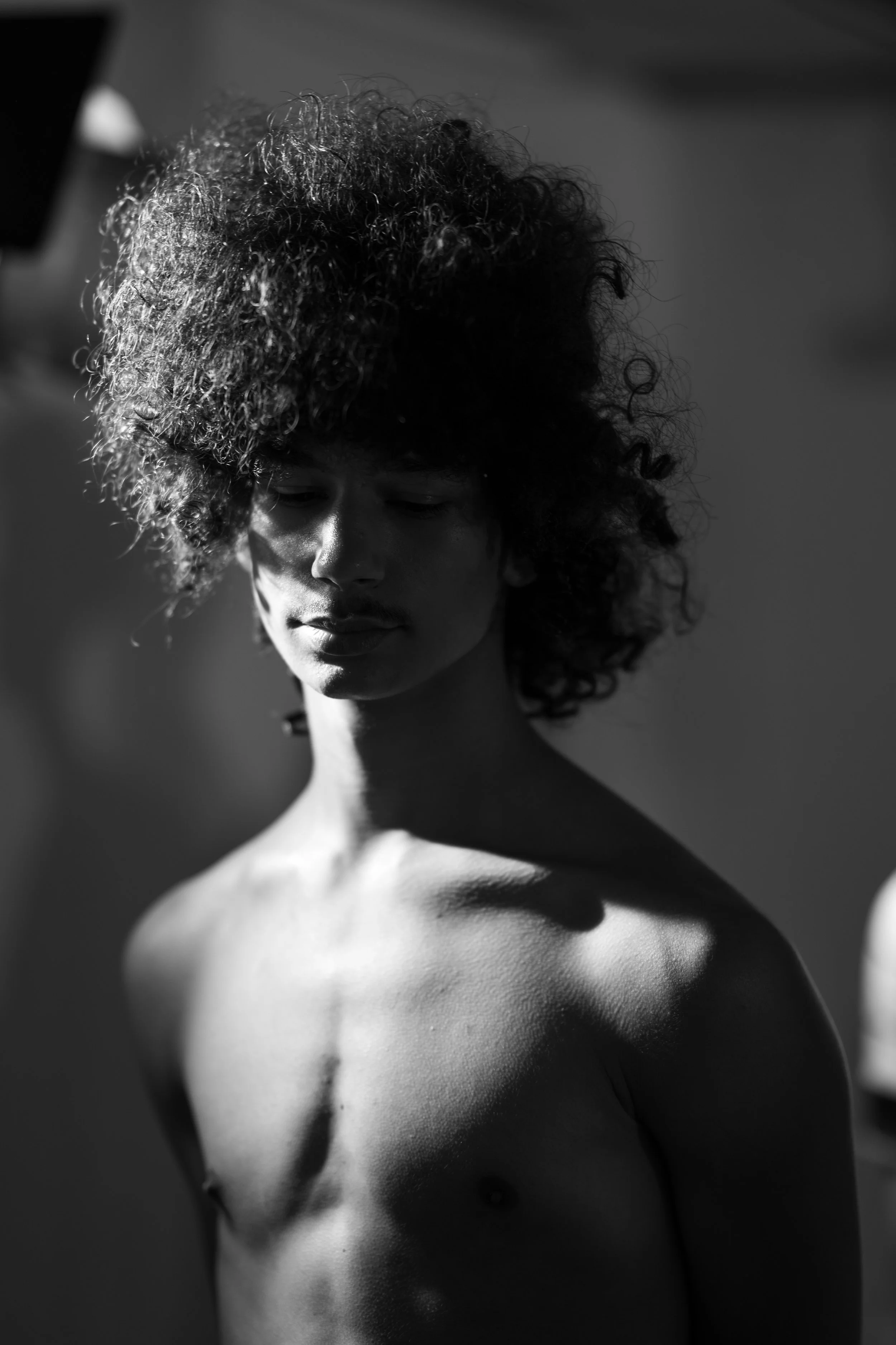 Hall Studio - Photography