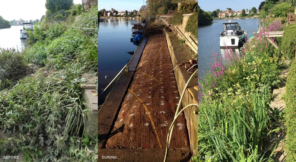 PLANTING, RIVER THAMES — Clive Chapman Architects