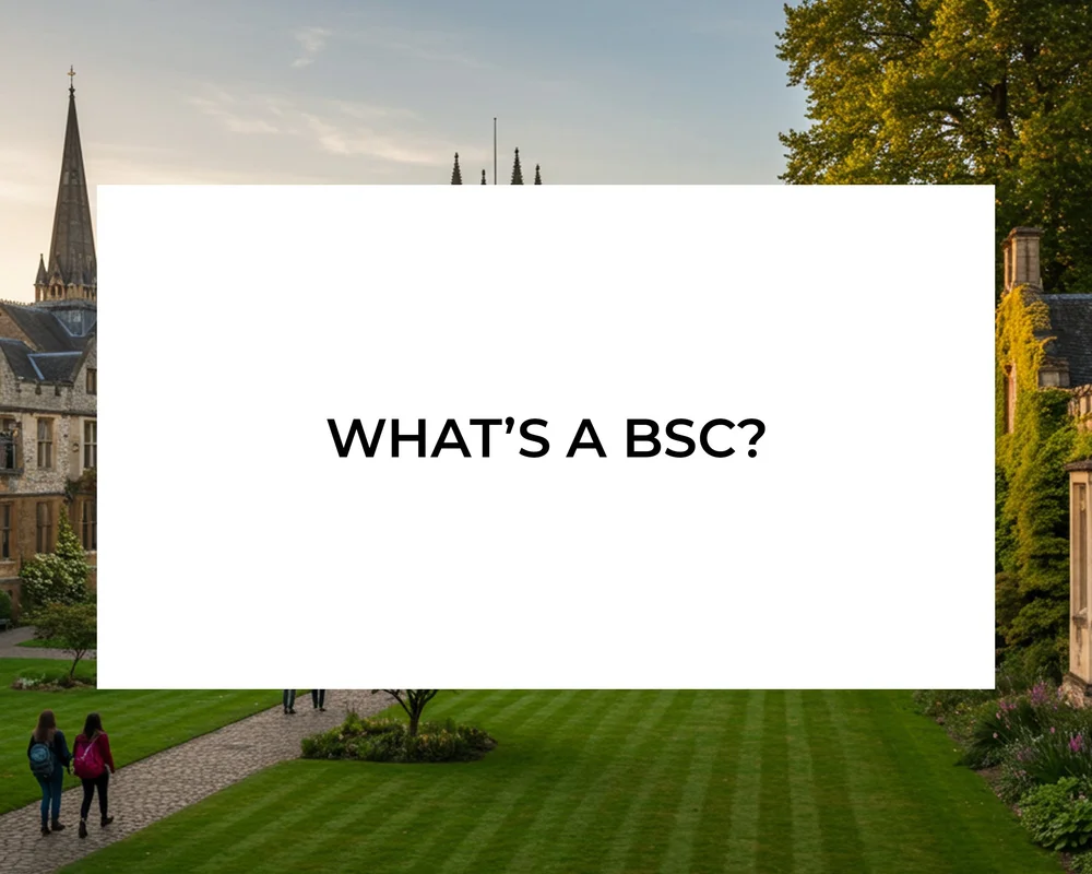 Blog — Chat University