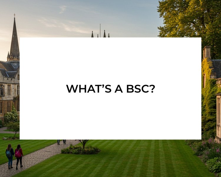 Blog — Chat University