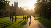 The Pros and Cons of Going to University — Chat University