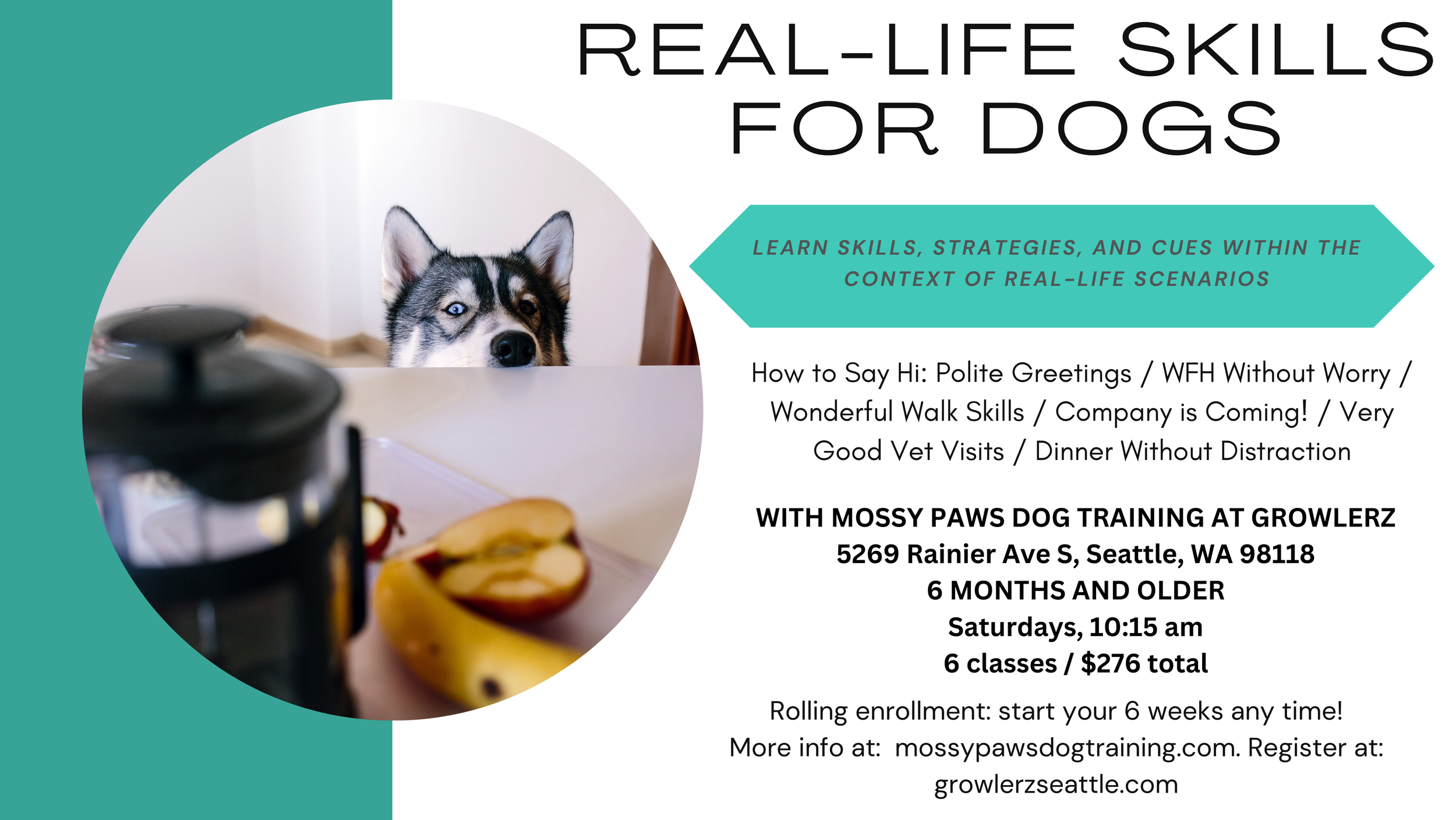 Classes — Mossy Paws Dog Training