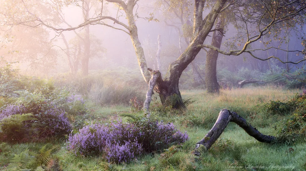 Andrew Knowles Landscape Photography
