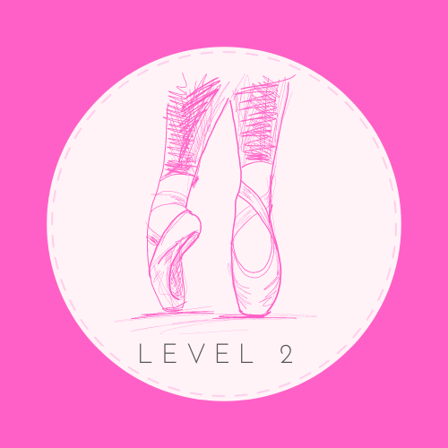 Beg/Int Level Lesson Plan 2.0 — Ballet Lesson Plans - Complete ...