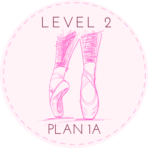 Beg/Int Level Lesson Plan 2.1 — Ballet Lesson Plans - Complete ...
