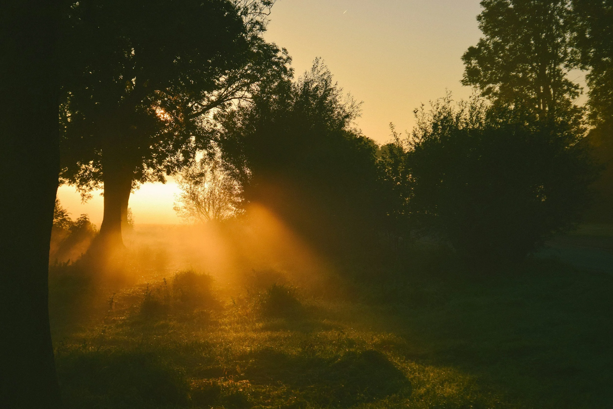 Acts2 Network | Devotions