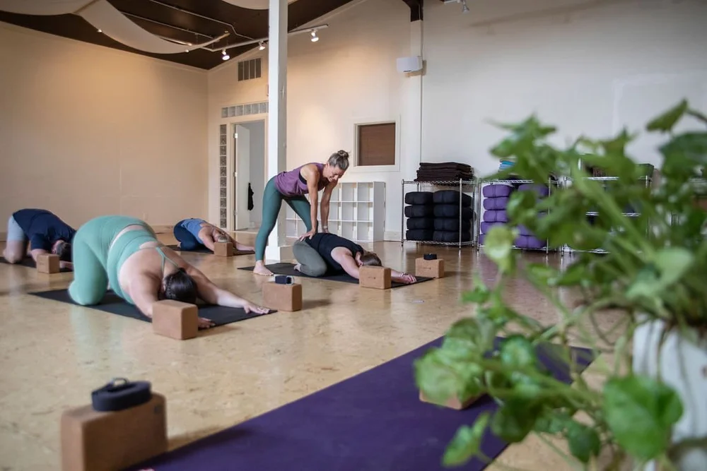 Elevate Wellness: YogaOne Studio Cedarburg - Vinyasa, Hot Yoga