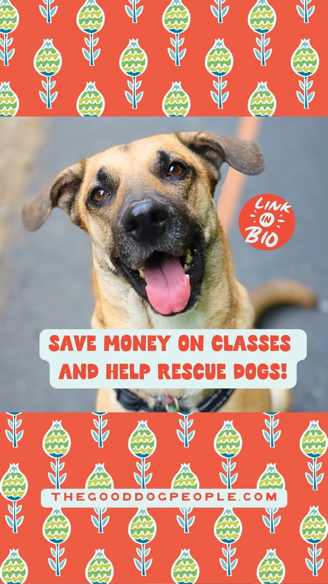 About — Lizzy and the Good Dog People