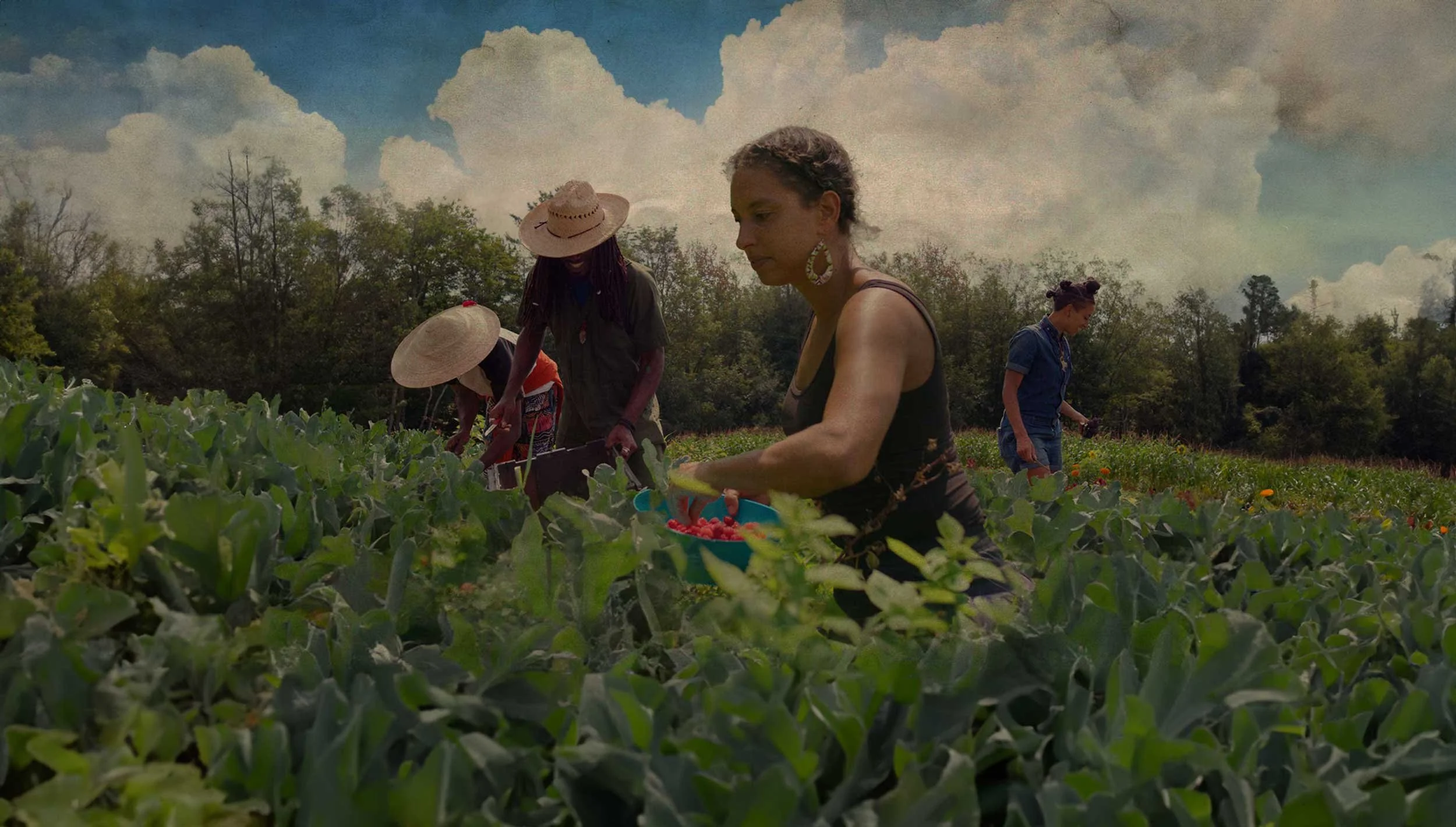 Screening Packet — Kontent Films