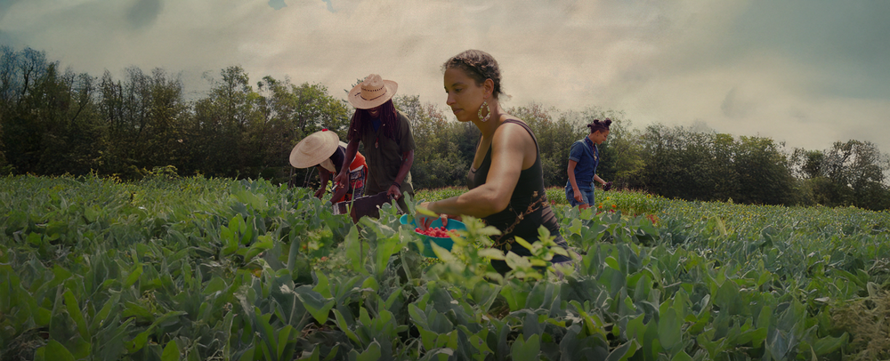 Farming While Black