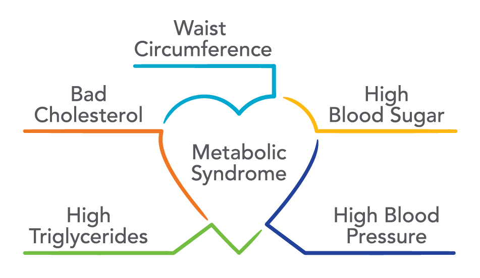 Metabolic Syndrome — Metabolic Syndrome Canada