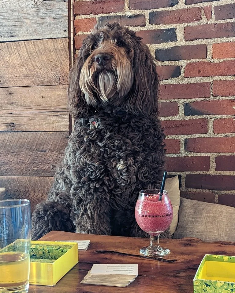 Dogs — Bushel & Bee
