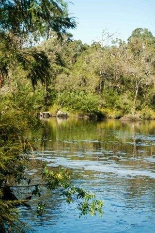 Kalgan Queen Scenic Tours in Albany