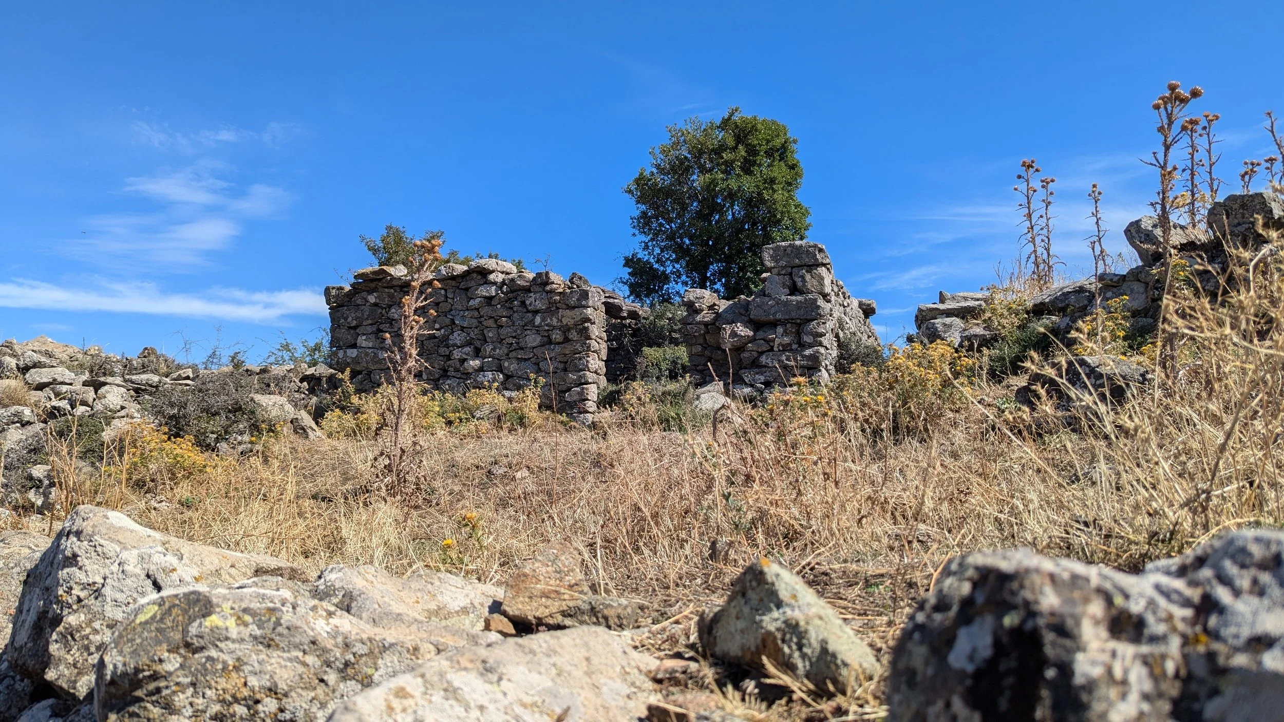 Monter à Zuccarellu, le hameau ruiné qui surplombe Tralonca et Corte