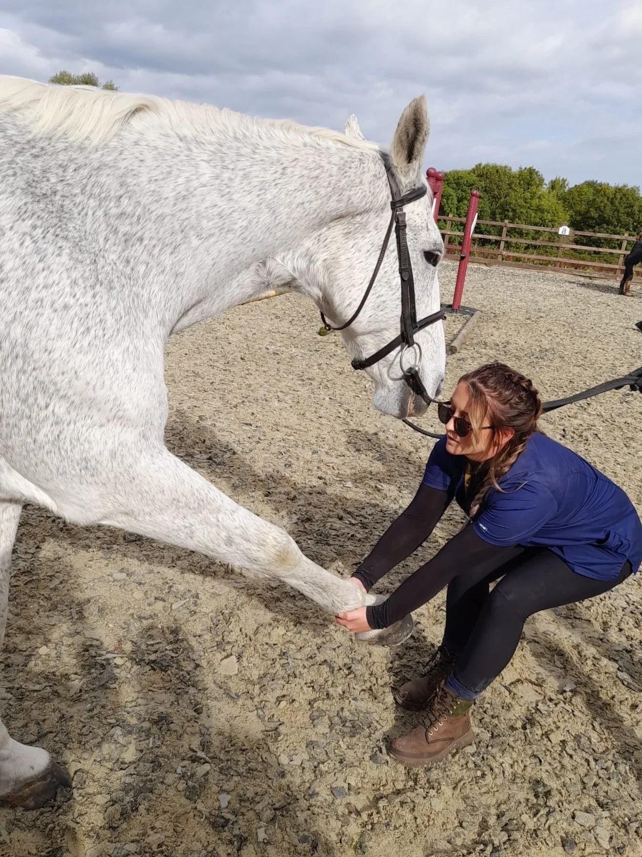Vulcan Veterinary Physiotherapy - Canine & Equine