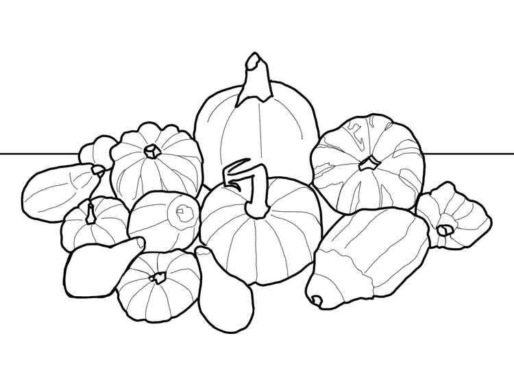 Squash Your Creativity Limits: Join Our Exciting Squash Contest Now ...