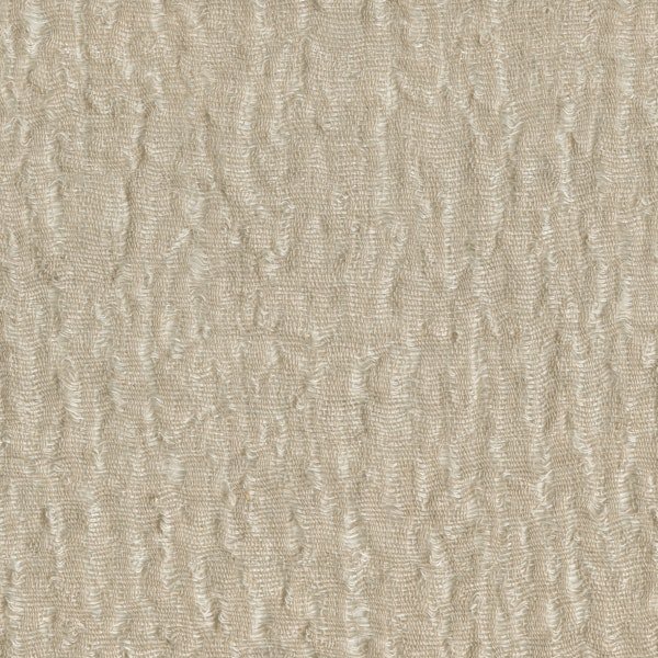 Designs of the Time — Canvas Showroom