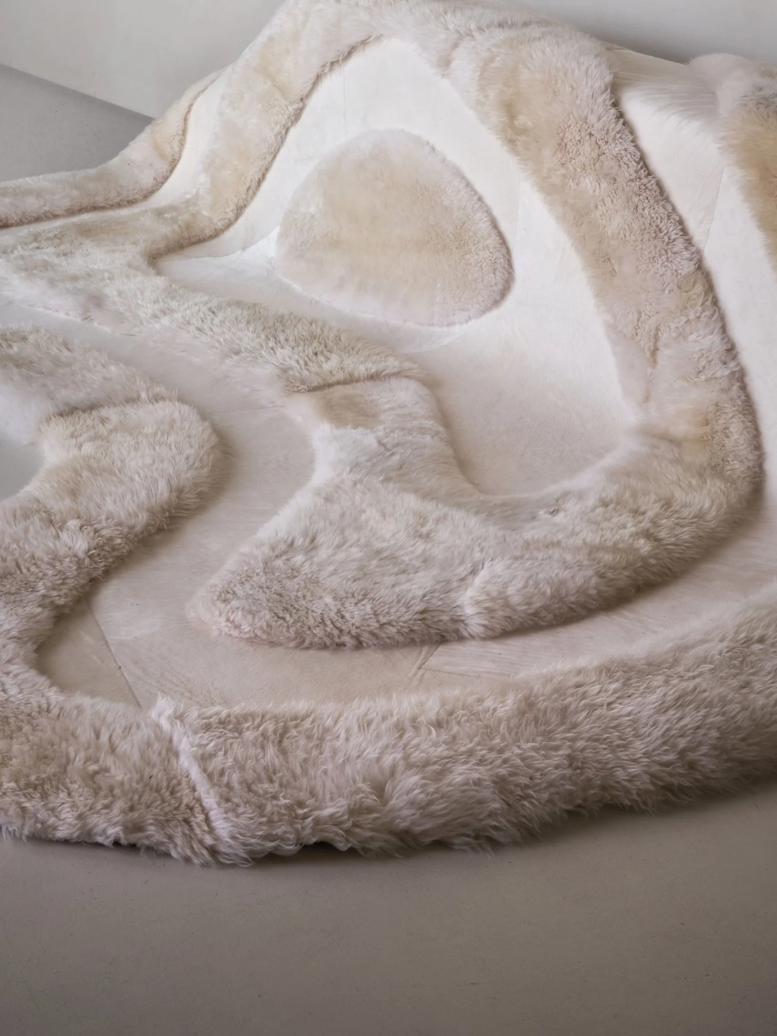 Rugs — Canvas Showroom