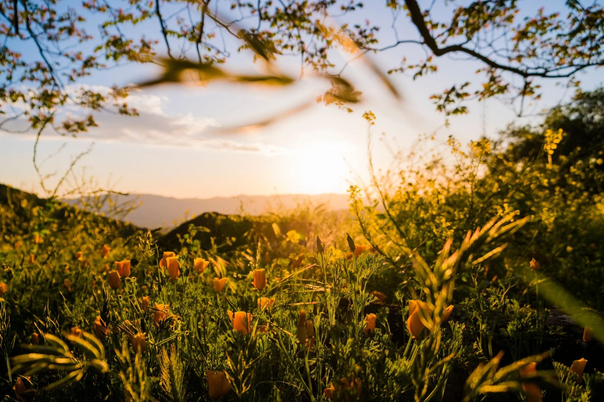 Checking Accounts | Kern County, California | Strata CU