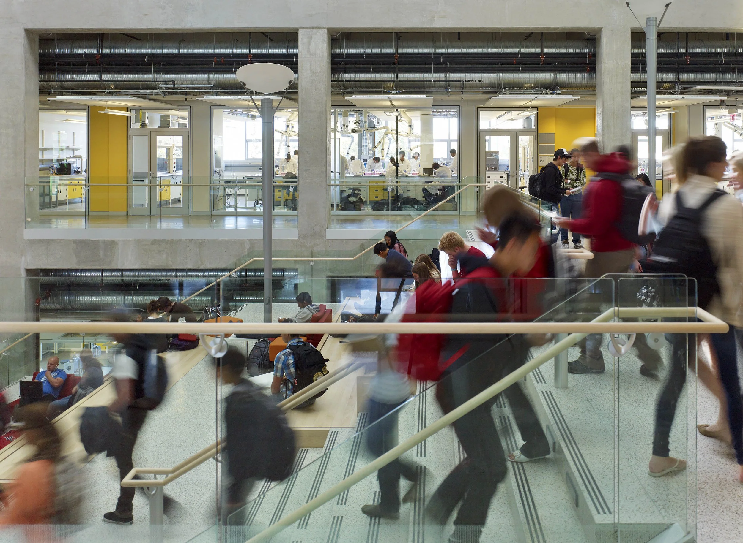 Sociability — Human Studio