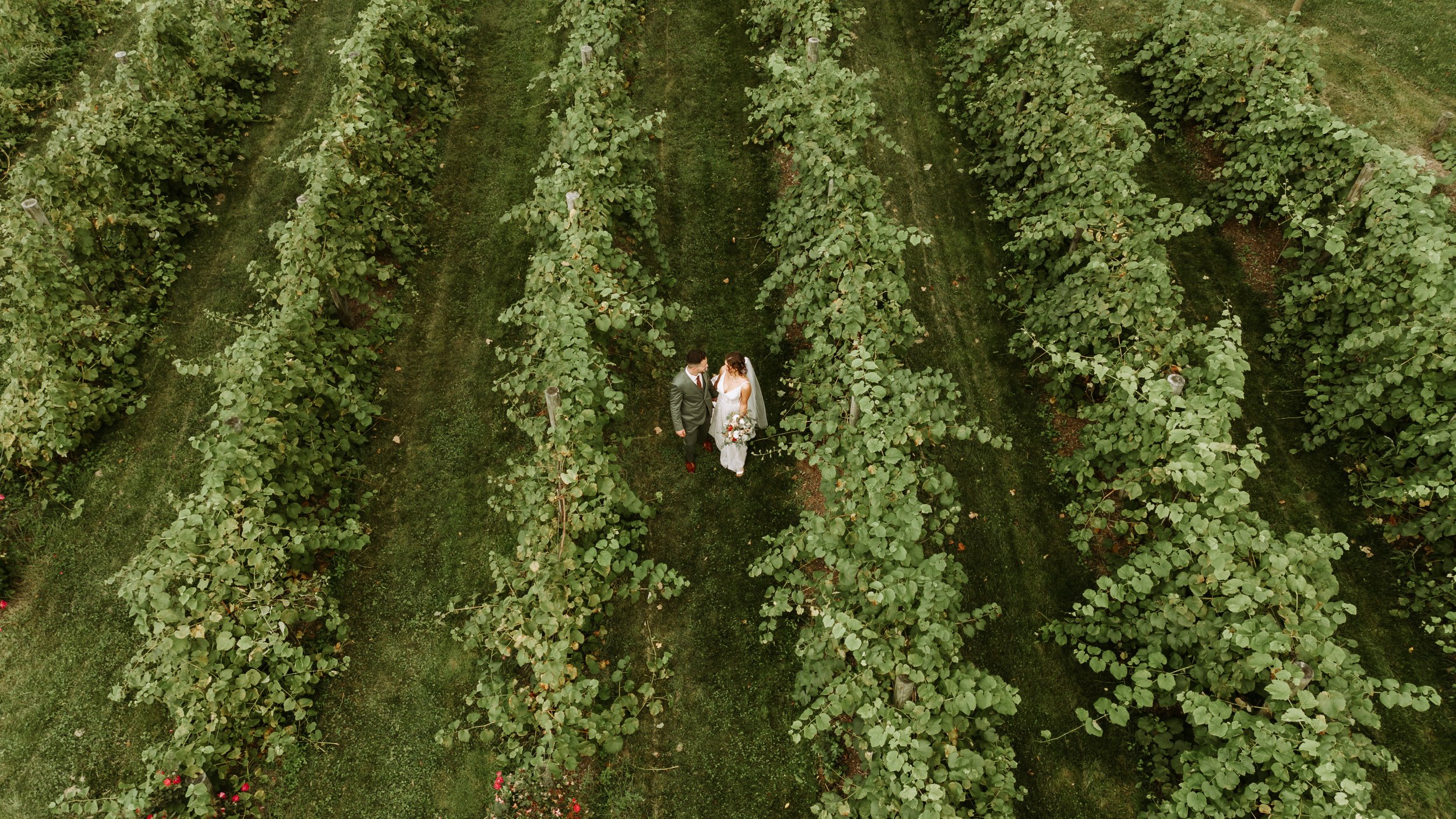 Discover a Vineyard Wedding Venue Right Here in NJ — Bear Brook Valley