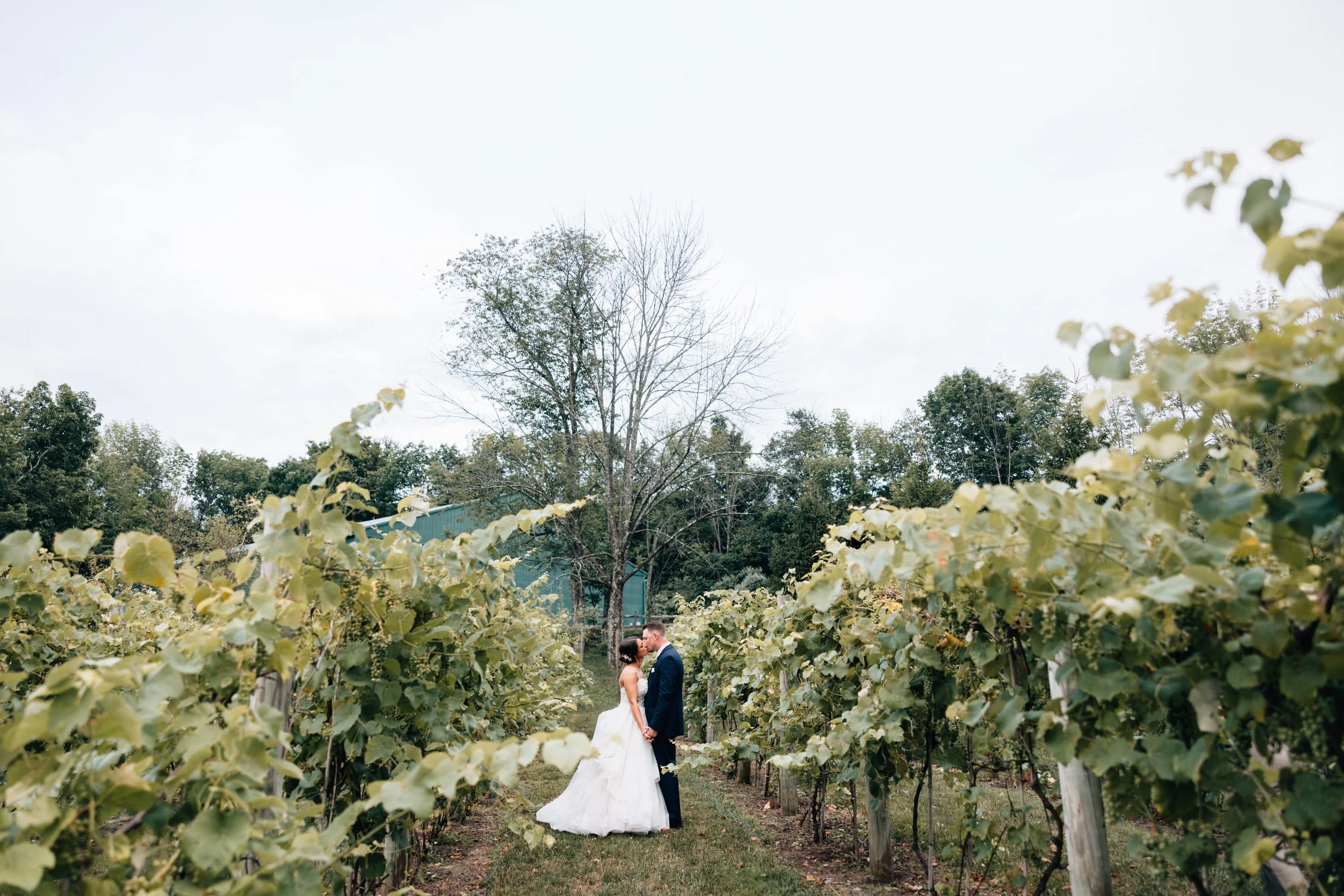 Discover a Vineyard Wedding Venue Right Here in NJ — Bear Brook Valley