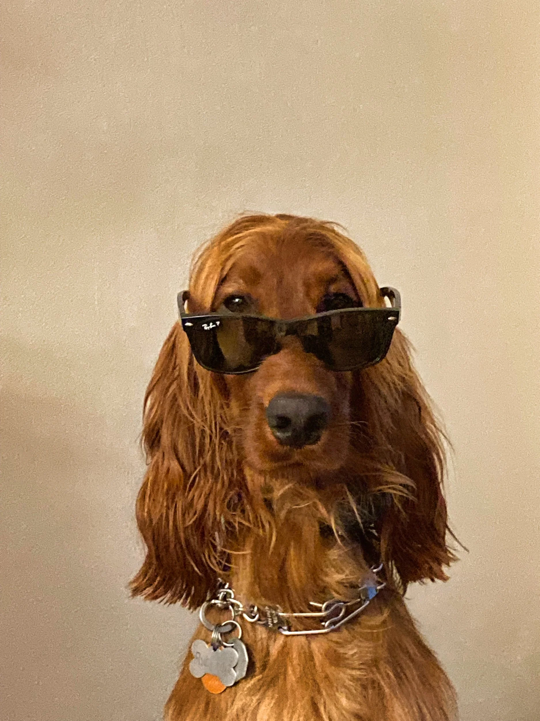 Meet the Team — Vision North Boston | Comprehensive Eye Care