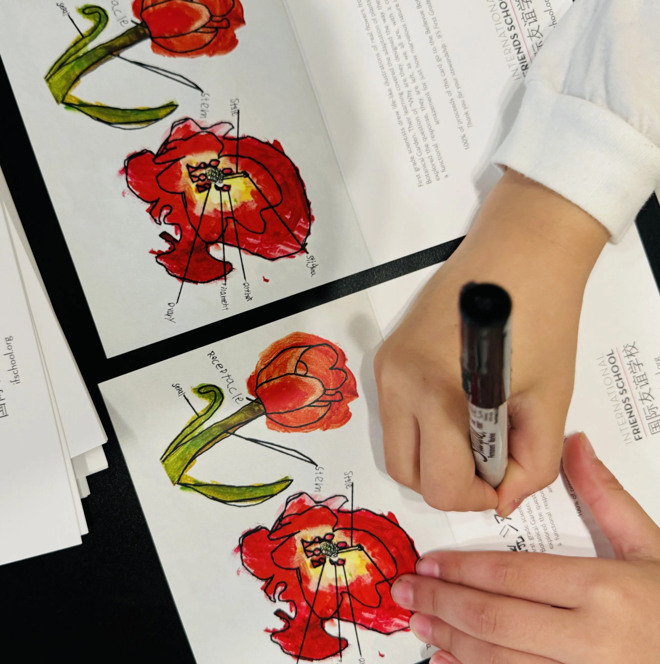 International Friends School