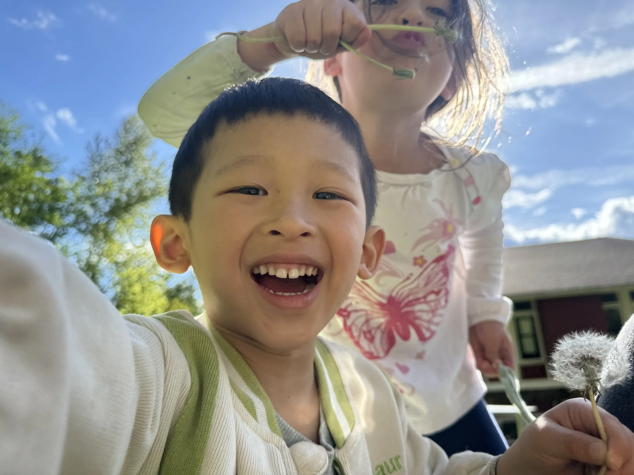 International Friends School