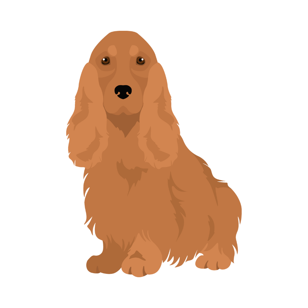 Get in Touch with Us — Livia's FurrEver Adventures Dog Walking and Pet ...