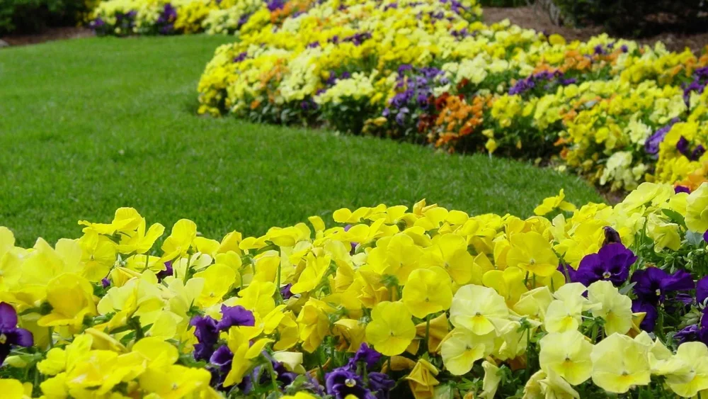 Flower Installation, Tree Planting & Garden Design | Franklin, TN ...