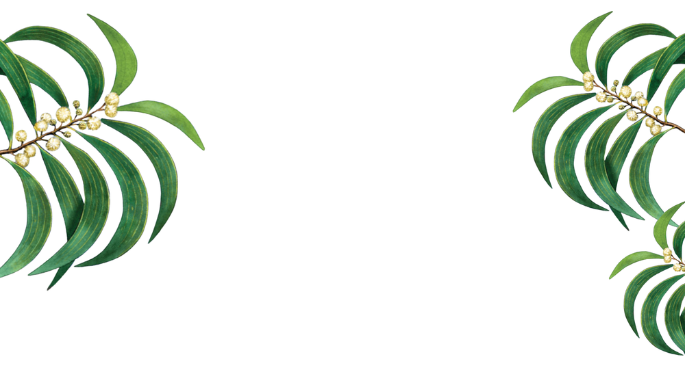 Kealakai Center for Pacific Strings