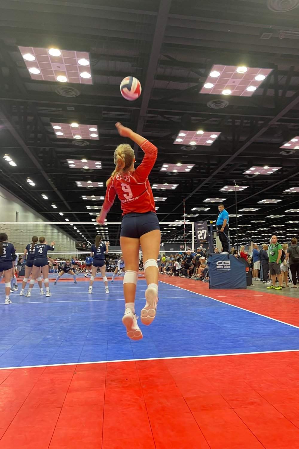 Highlights — PIPER MICKENHEIM